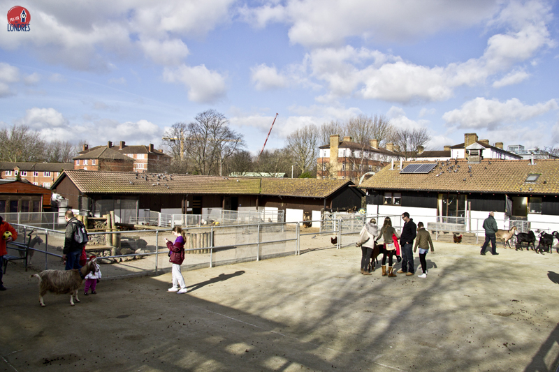 Surrey Docks Farm: tinha uma fazenda no meio de Londres… – Pra Ver no Mundo